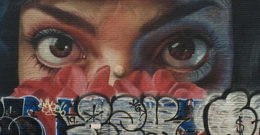NYC: Bronx, Queens, and Brooklyn Guided Tour by Coach - Itinerary Breakdown: From Yankee Stadium to Bushwick