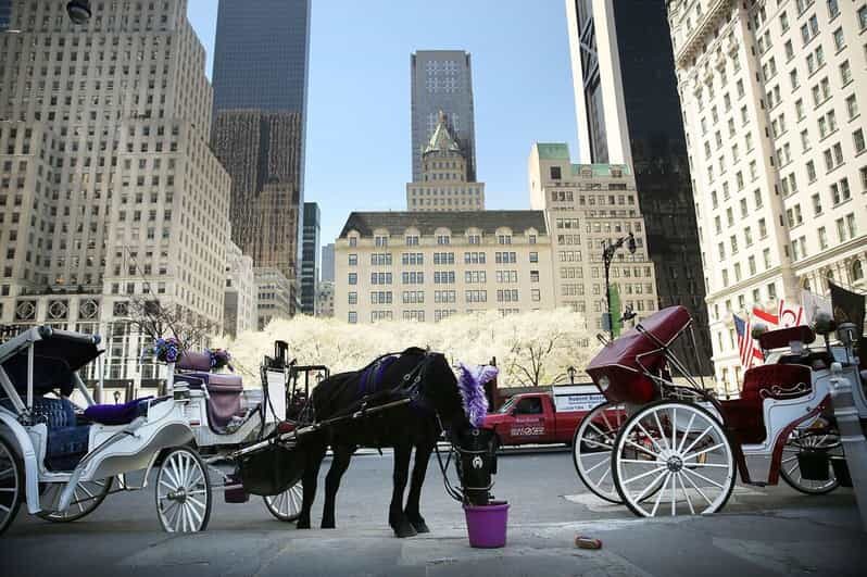 NYC: Central Park Christmas Lights Horse-Drawn Carriage Ride - What Makes It a Good Value?