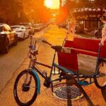 NYC Central Park guided Pedicab Tour - 1 hour - The Guides: Knowledge and Personal Touch