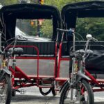 NYC Central Park Pedicab Tours - Final Note