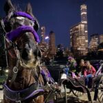 NYC Central Park & Rockefeller Center Private Horse Carriage Tour - Why This Tour Stands Out