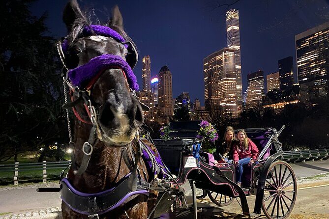 NYC Central Park & Rockefeller Center Private Horse Carriage Tour - Why This Tour Stands Out