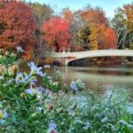 NYC: Central Park Secrets and Highlights Walking Tour - Wildlife and Nature