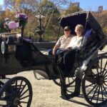 NYC Central Park VIP Horse and Carriage Ride - Final Thoughts