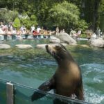 NYC: Central Park Zoo Entry Ticket & Manhattan Walking Tour - The Walk and Wildlife Experience