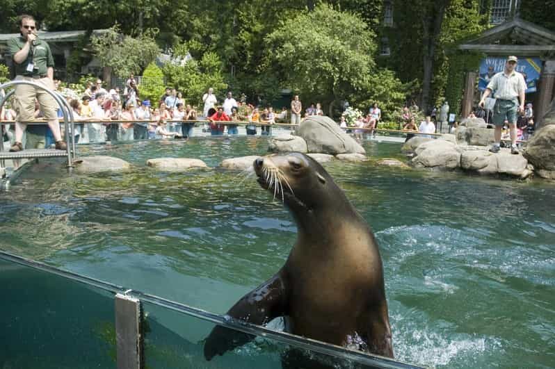 NYC: Central Park Zoo Entry Ticket & Manhattan Walking Tour - The Walk and Wildlife Experience