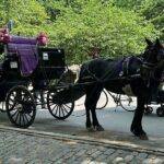 NYC Empire State Horses Carriage Ride in Central Park (45 Mins) - The Landmarks You’ll Pass and Stop At