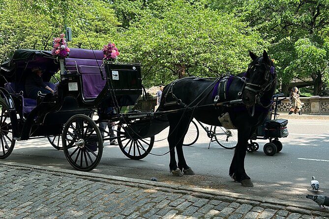 NYC Empire State Horses Carriage Ride in Central Park (45 Mins) - The Landmarks You’ll Pass and Stop At