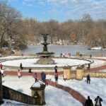NYC Empire State Horses Carriage Ride in Central Park(55 Min) - A Detailed Look at the Central Park Horse Carriage Ride