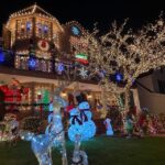 NYC | French guided tour of Christmas in Brooklyn - The Experience Overview: Walking Through Brooklyn’s Christmas Wonderland