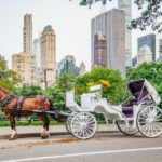 NYC: Guided Central Park Horse Carriage Ride - Itinerary Breakdown: What Makes Each Stop Special