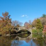 NYC: Guided Central Park Private Pedicab Tour - Who Will Love This Tour?
