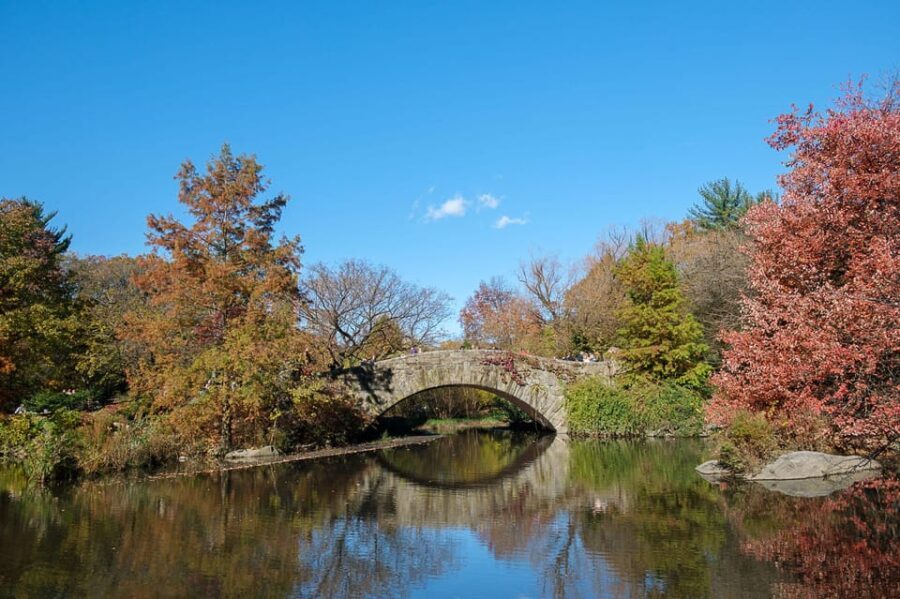 NYC: Guided Central Park Private Pedicab Tour - Who Will Love This Tour?
