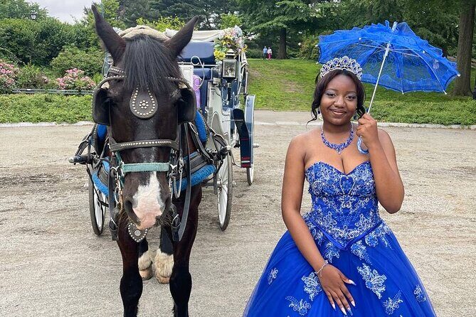 NYC Horse and Carriage Central Park Tours - Guides and Commentary: What Makes the Experience Stand Out