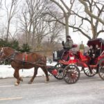 NYC Horse Carriage Ride in Central Park (65 min) - Who Will Love This Tour?