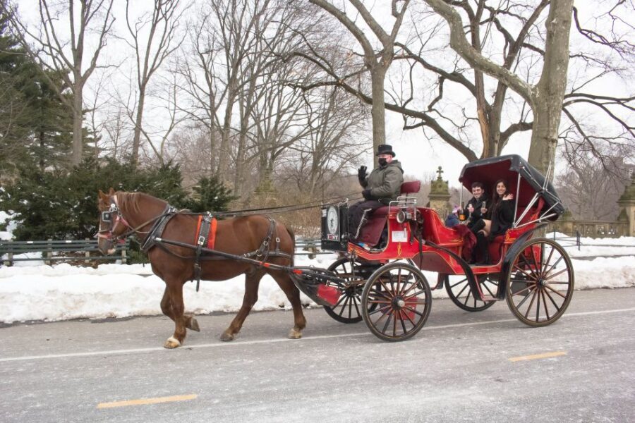 NYC Horse Carriage Ride in Central Park (65 min) - Who Will Love This Tour?