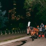 NYC MOONLIGHT HORSE CARRIAGE RIDE through Central Park - Who Should Consider This Experience?