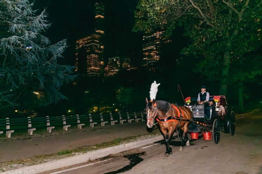 NYC MOONLIGHT HORSE CARRIAGE RIDE through Central Park - Who Should Consider This Experience?