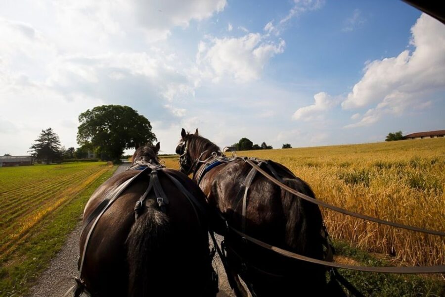 NYC: Philadelphia, Washington DC & Amish Country 2-Day Tour - What Works Well—and What Could Be Better
