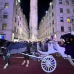 NYC: Private Central Park and NYC City Tour - A Deep Dive into the Experience