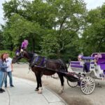 NYC: Private Central Park Horse Carriage Ride with Guide - The Itinerary: What You Can Expect