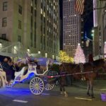 NYC: Private Christmas Lights Horse Carriage Ride - The Route: Gliding Past NYC’s Holiday Landmarks