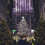 NYC: Private Dyker Heights and NYC Holiday Lights Tour - The Itinerary