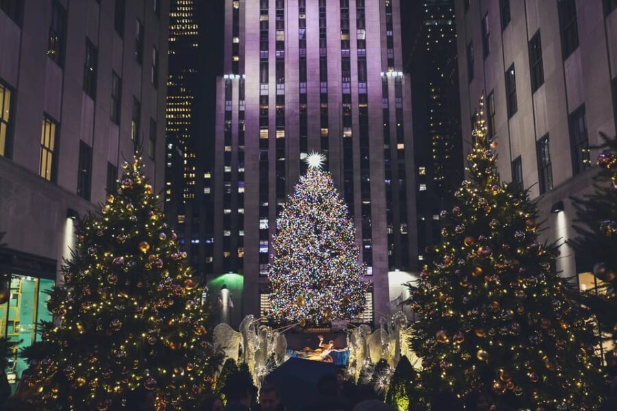 NYC: Private Dyker Heights and NYC Holiday Lights Tour - The Itinerary