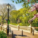 NYC: Sightseeing Day Trip with Statue of Liberty Visit - Is It Worth $90?