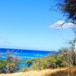 Oahu: All Day Circle Island Tour with Snorkeling - Detailed Breakdown of the Itinerary