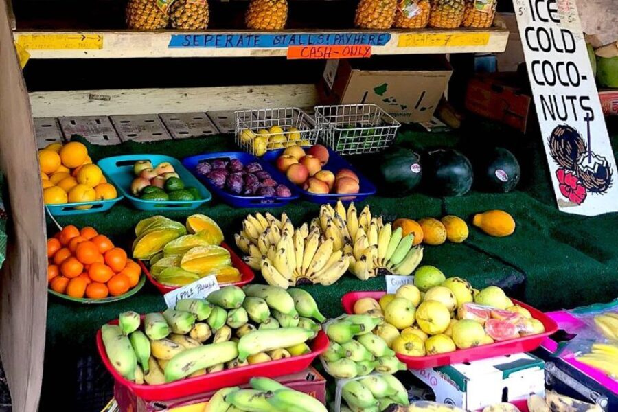 Oahu: Beauty and the Feast Circle Island Experience - Authenticity and Reviews: What Travelers Say