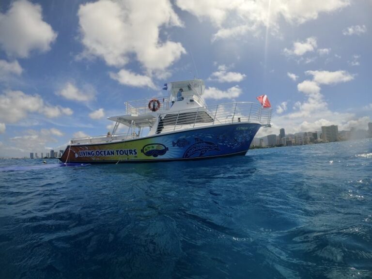 Oahu: BYOB or Cash Bar Waikiki Sunset Cruise - Why This Tour Is a Good Deal
