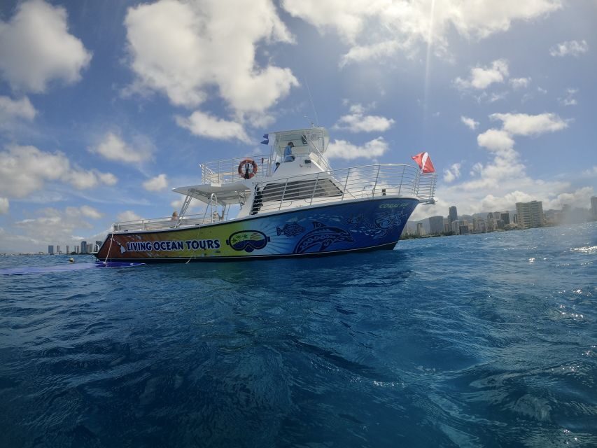 Oahu: BYOB or Cash Bar Waikiki Sunset Cruise - Why This Tour Is a Good Deal