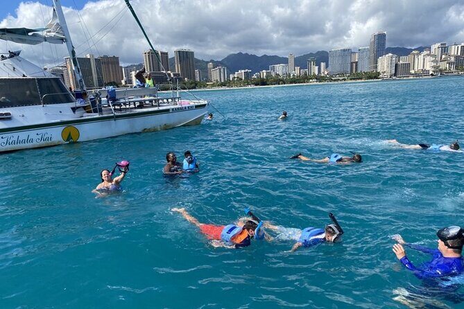 Oahu Catamaran Snorkel Tour: See Turtles 100% Guaranteed - The Value and Pricing