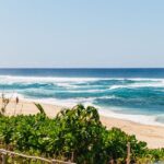 Oahu: Circle Island Tour with Lunch & Waimea Waterfall - What Makes This Tour Stand Out?