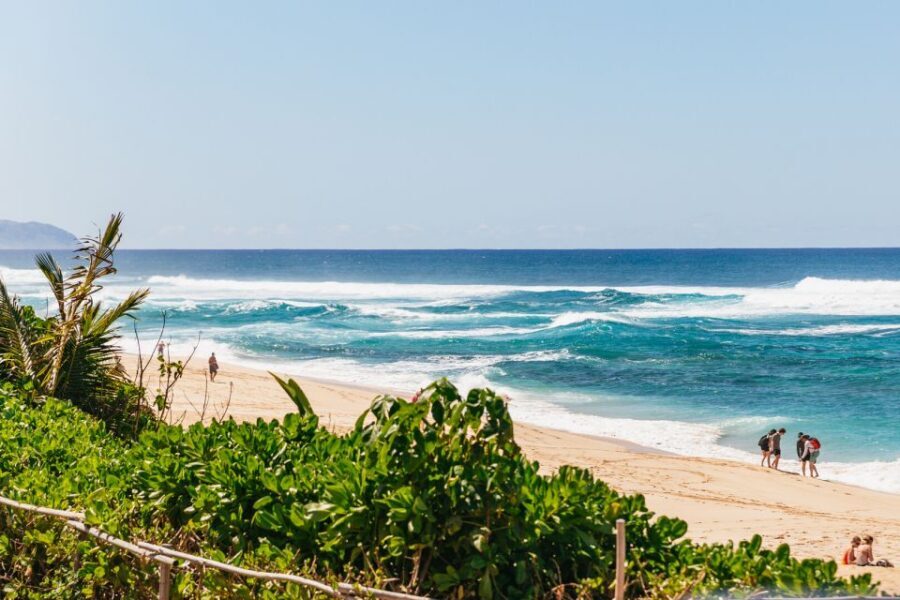 Oahu: Circle Island Tour with Lunch & Waimea Waterfall - What Makes This Tour Stand Out?