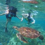 Oahu Coastline Cruise: Turtle Snorkeling and Jumping Platform - Who Is This Tour Best For?