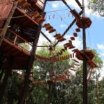 Oahu: Coral Crater Aerial Challenge Course - Assessing Value and Experience