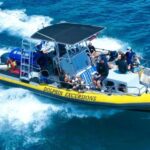 Oahu: Dolphin Swim and Turtle Snorkel Excursion in Waianae - The Value of the Experience
