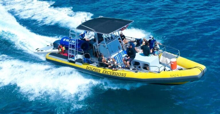 Oahu: Dolphin Swim and Turtle Snorkel Excursion in Waianae - The Value of the Experience