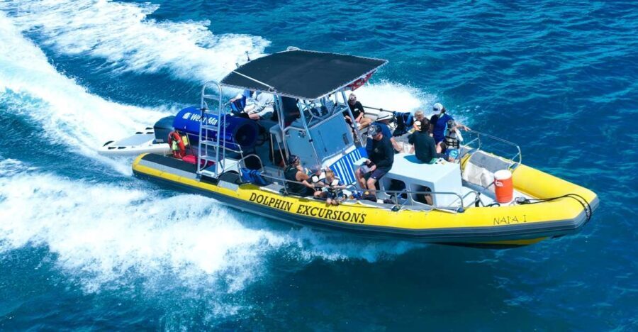 Oahu: Dolphin Swim and Turtle Snorkel Excursion in Waianae - The Value of the Experience