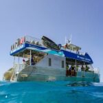Oahu Dolphin Watch Cruise with Waterslide & Snorkeling - Oahu Dolphin Watch Cruise with Waterslide & Snorkeling: An In-Depth Review