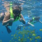 Oahu Dolphin Watch with Turtle Snorkel & Water Slide - Who Will Love This Tour?