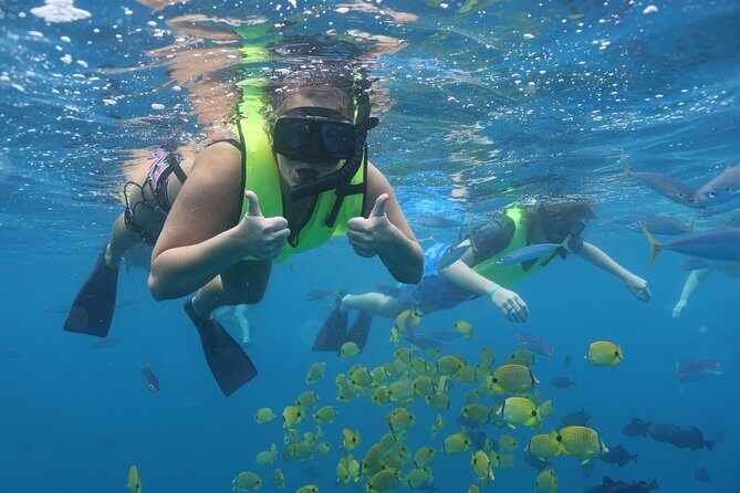 Oahu Dolphin Watch with Turtle Snorkel & Water Slide - Who Will Love This Tour?