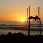 Oahu Grand Circle Island Experience from Waikiki - What Travelers Say