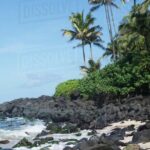 OAHU GRAND CIRCLE Waimea Waterfall, Turtle Beach, North Shore. - Practical Details: What to Expect