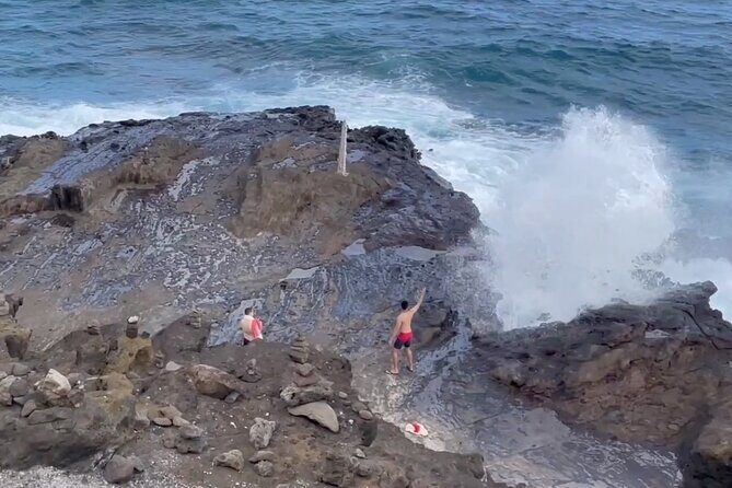 Oahu Guided Circle Island Tour, Swim w/ Turtles, Dole, Blowhole - Transportation and Logistics