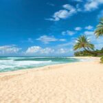 Oahu: Guided Tour of North Shore and Waimea Botanical Garden - Itinerary Breakdown