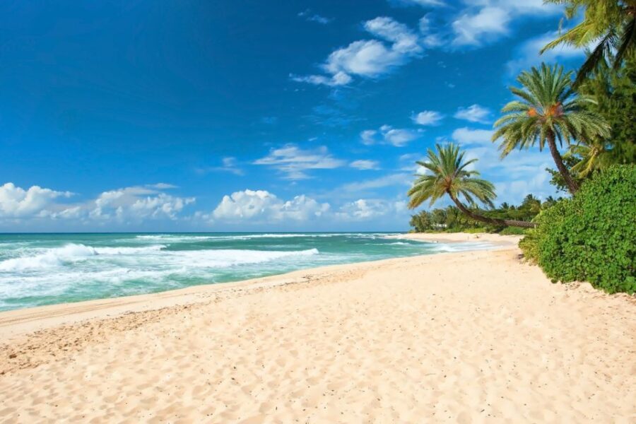 Oahu: Guided Tour of North Shore and Waimea Botanical Garden - Itinerary Breakdown