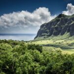 Oahu Hidden Gems & Waimea Botanical Garden/Waterfall tour - Transport and Group Dynamics